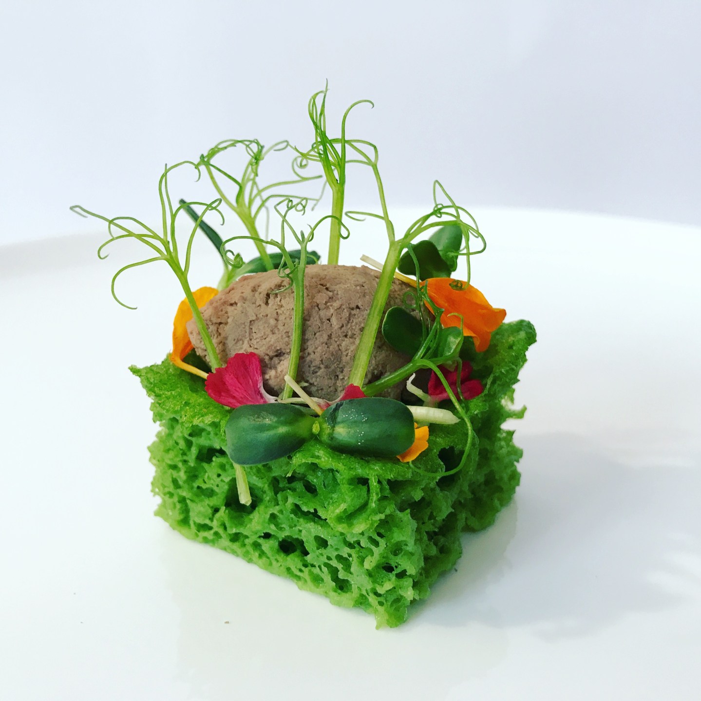 Giardino d’estate… Spugna agli spinaci con paté di fegato alla ...
